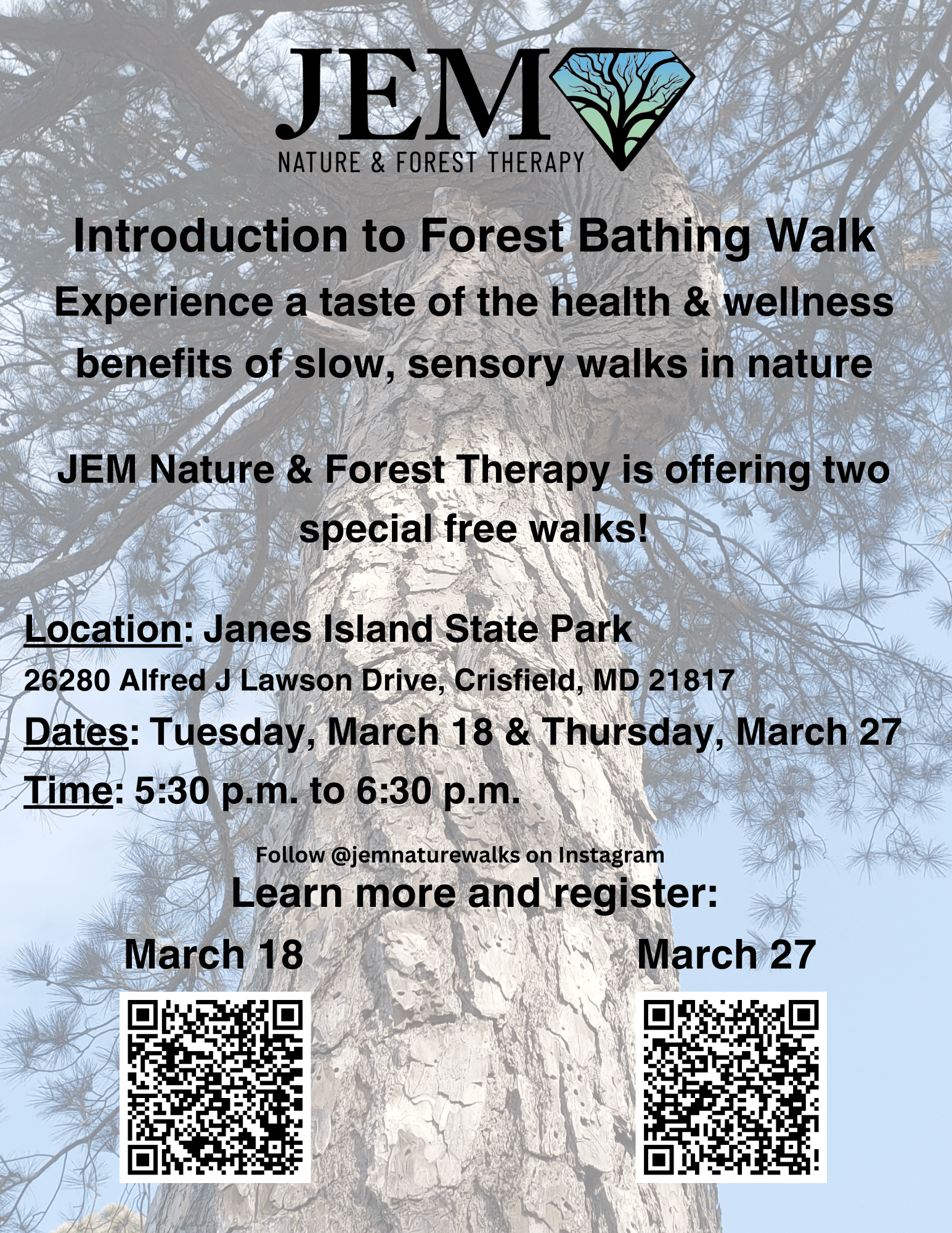 Introduction to Forest Bathing Walk