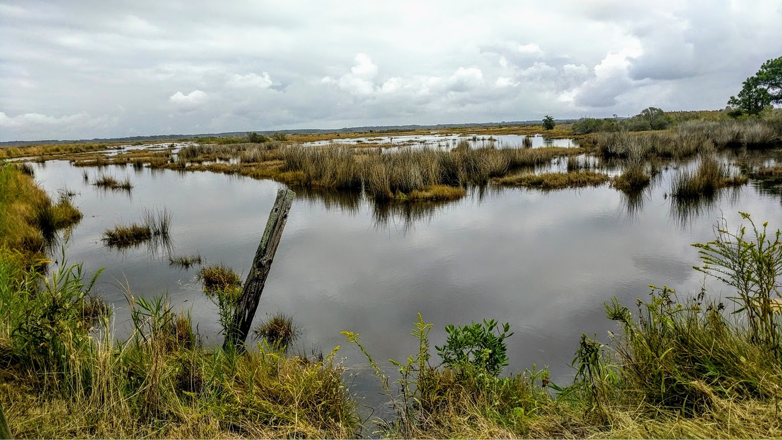 Deal Island State Wildlife Management Area | Visit Somerset County