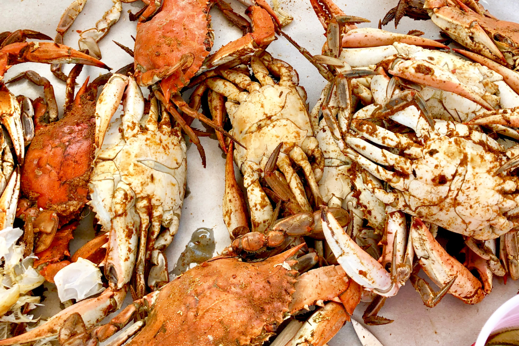 Fall Crabs & Seafood | Somerset County MD